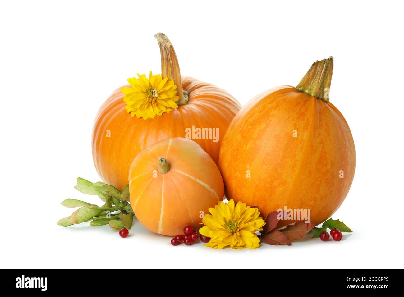 Thanksgiving day celebration Cut Out Stock Images & Pictures - Alamy