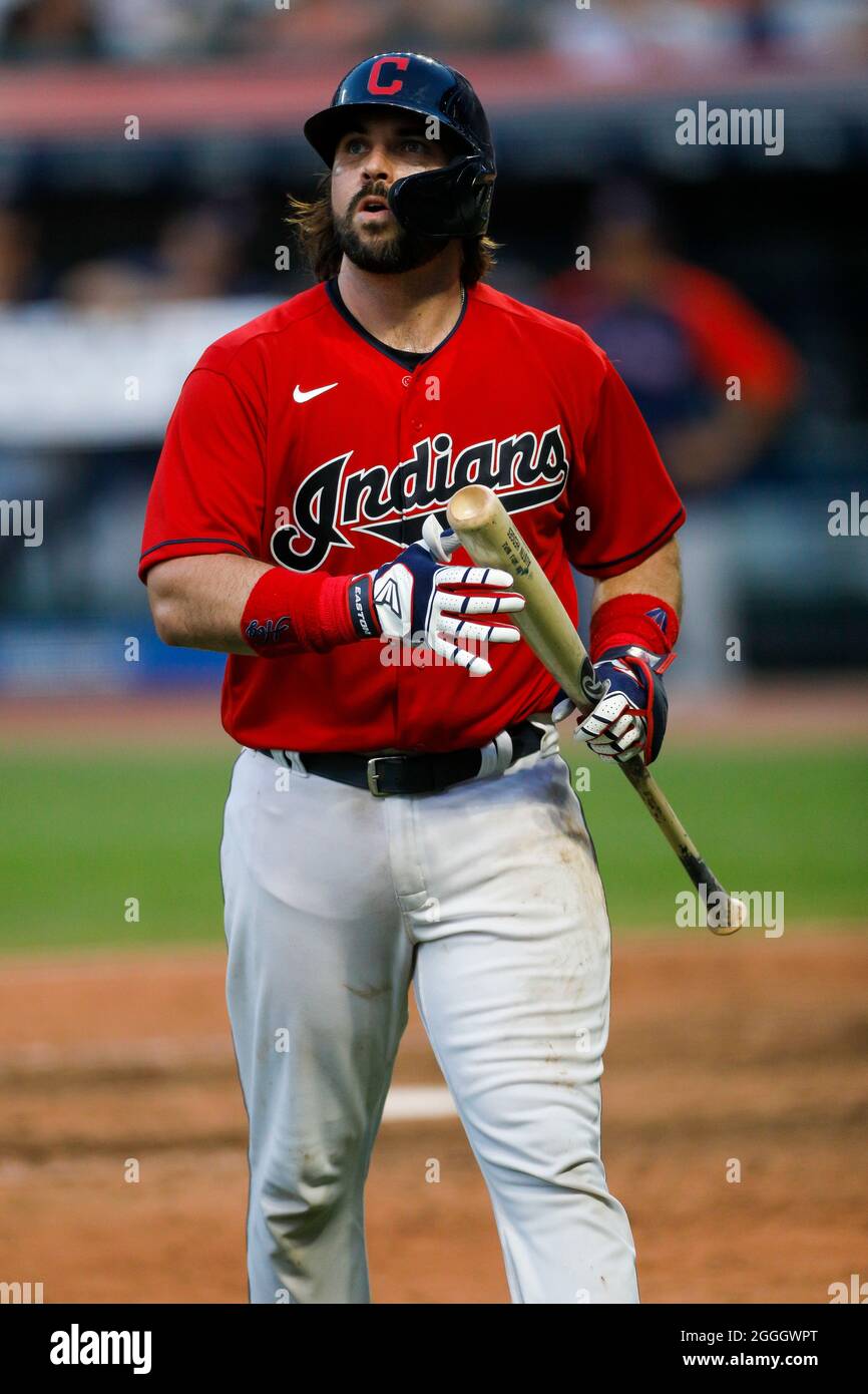 Austin hedges hi-res stock photography and images - Alamy