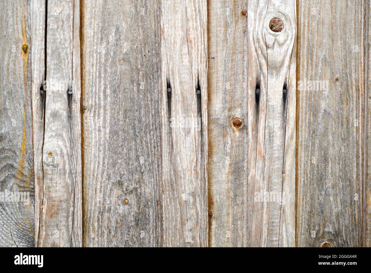Natural wood with a rough structure, photographed outdoors in daylight ...