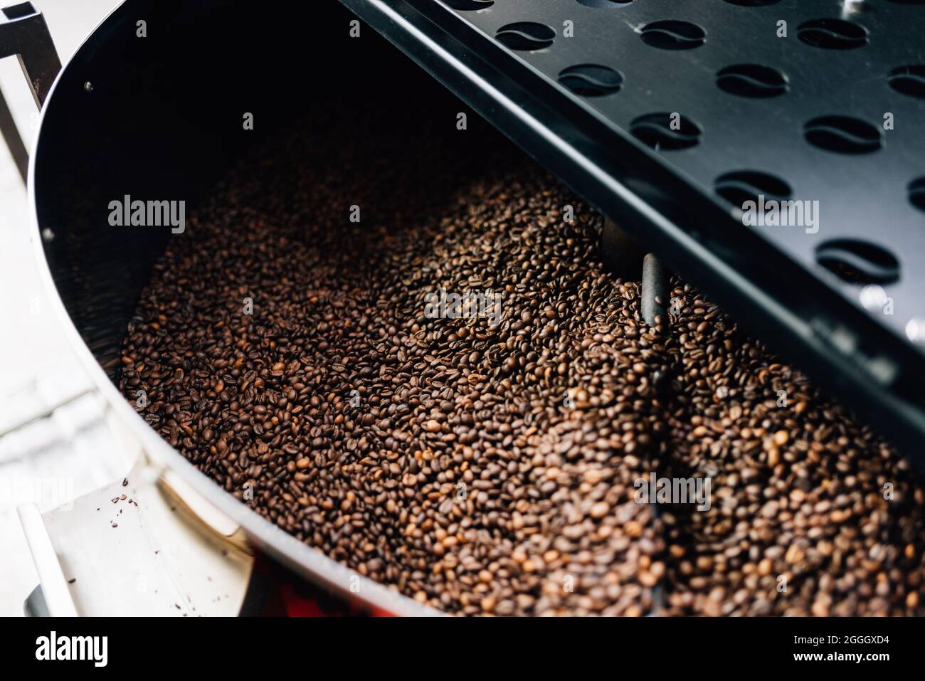 Baking coffee. Roasted Coffee beans before next step in professional ...
