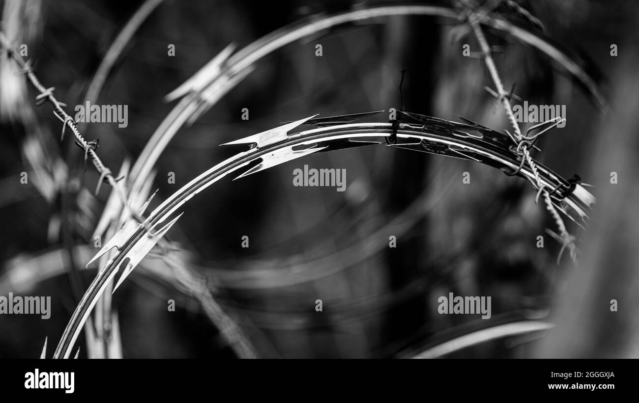 Razor sharp fine quality military grade barbed wire Stock Photo - Alamy