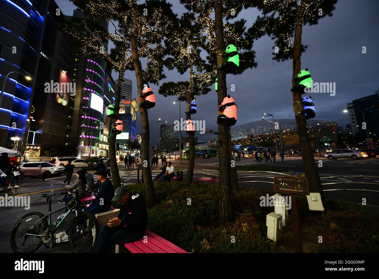 Illuminated pandas on trees exhibit outside the Lotte Fitin building in ...