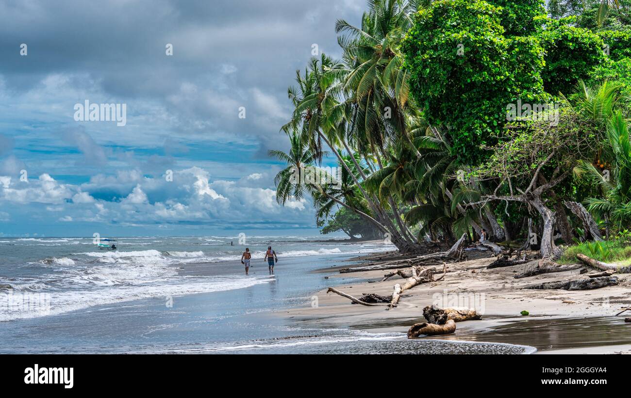 Two local Costa Rican men walking at a beautiful sandy beach bordered ...