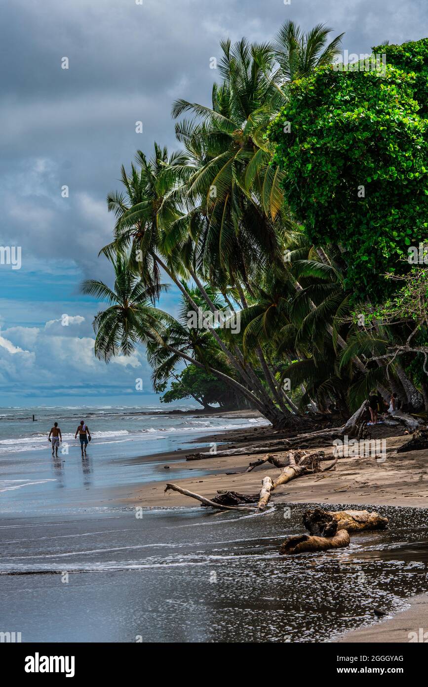 Two local Costa Rican men walking at a beautiful sandy beach bordered ...