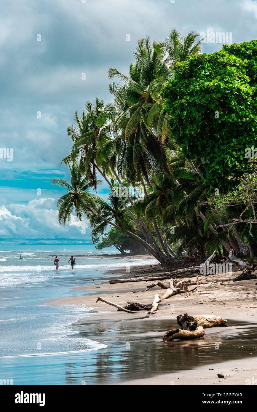 Two local Costa Rican men walking at a beautiful sandy beach bordered ...