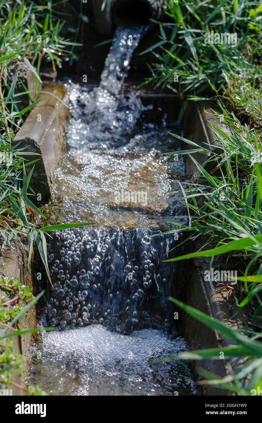 The water flows through a narrow channel among green grasses. A rocky ...