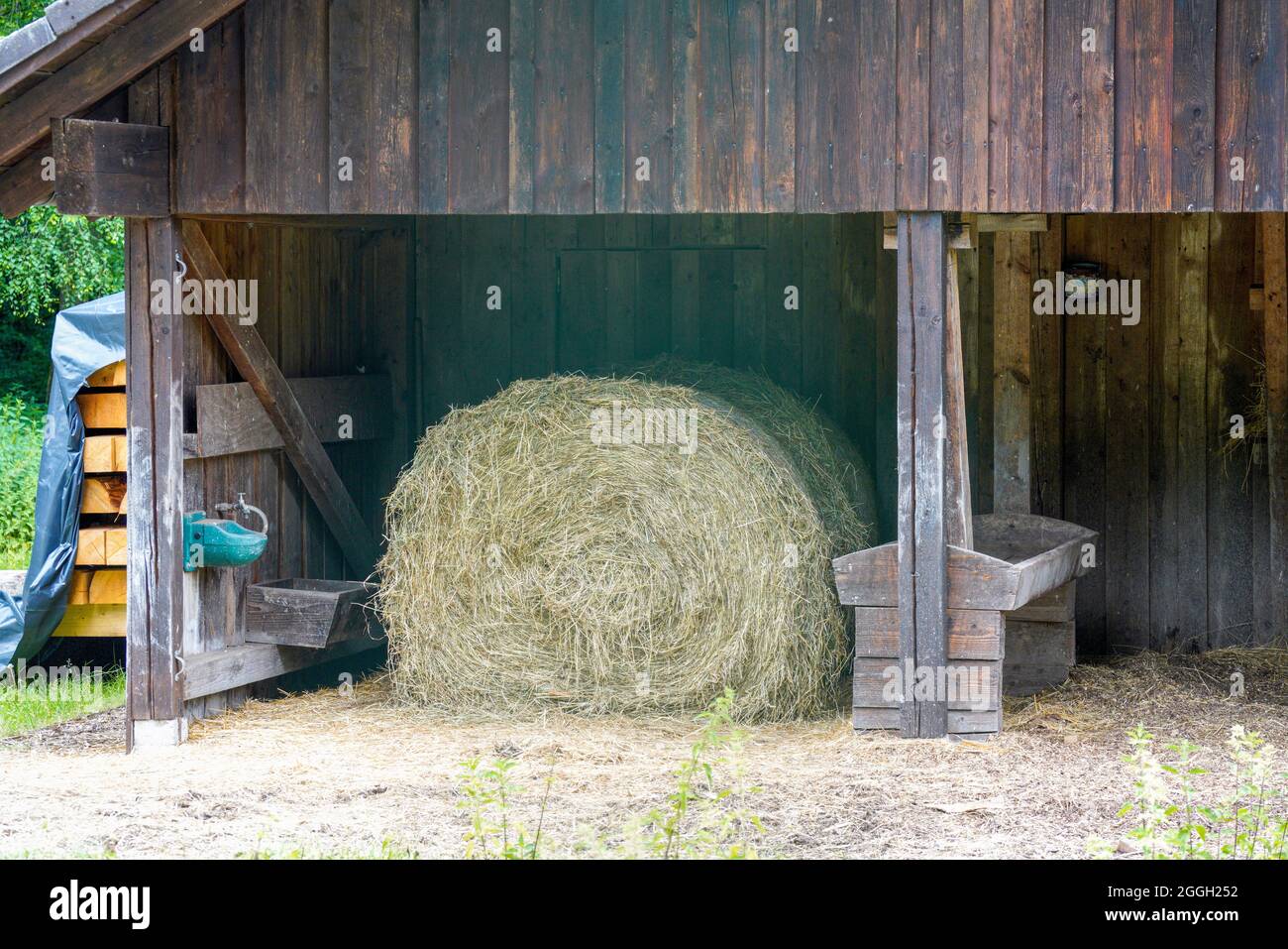 Hay roll outside in the wooden construction with a roof Stock Photo - Alamy