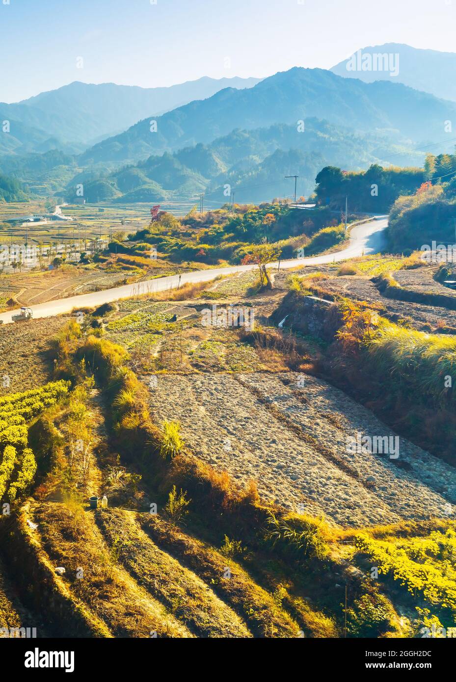 Landscape of Wuyuan County with Yellow oilseed rape field and Blooming ...