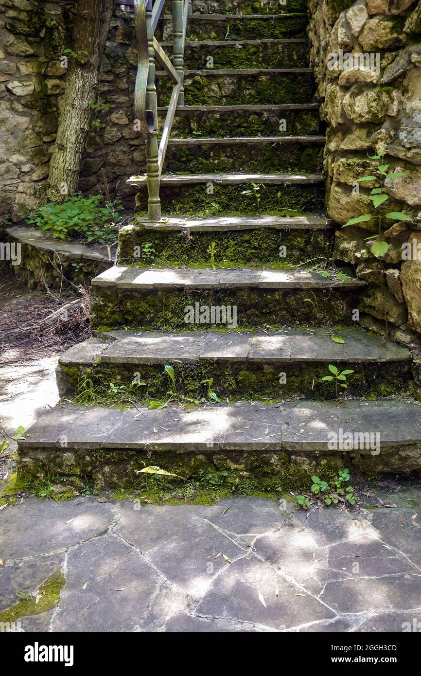Picturesque view of stone steps of stairs in park. Old wooden staircase ...