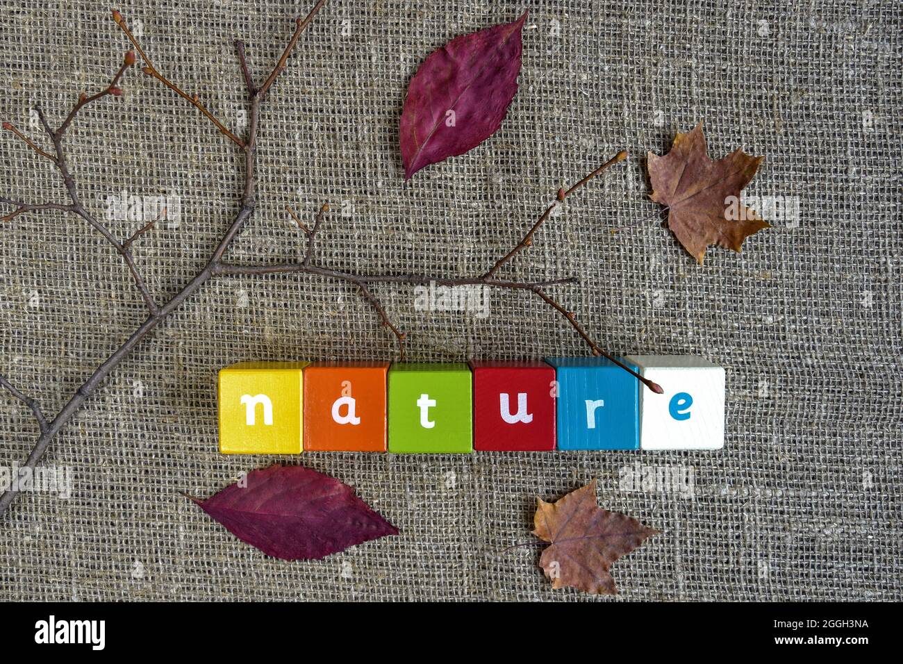 NATURE- word made from colored wooden blocks, twisting branch of tree ...
