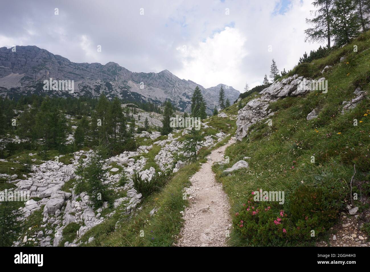 Small path on the Seven Lakes Valley HIke, Slovenia 2020 Stock Photo ...