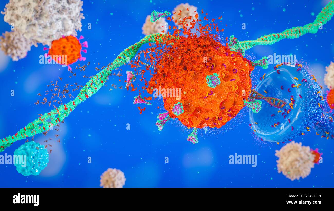 COVID-19 virus SARS-COV-2 coronavirus delta variant attacking a cell ...