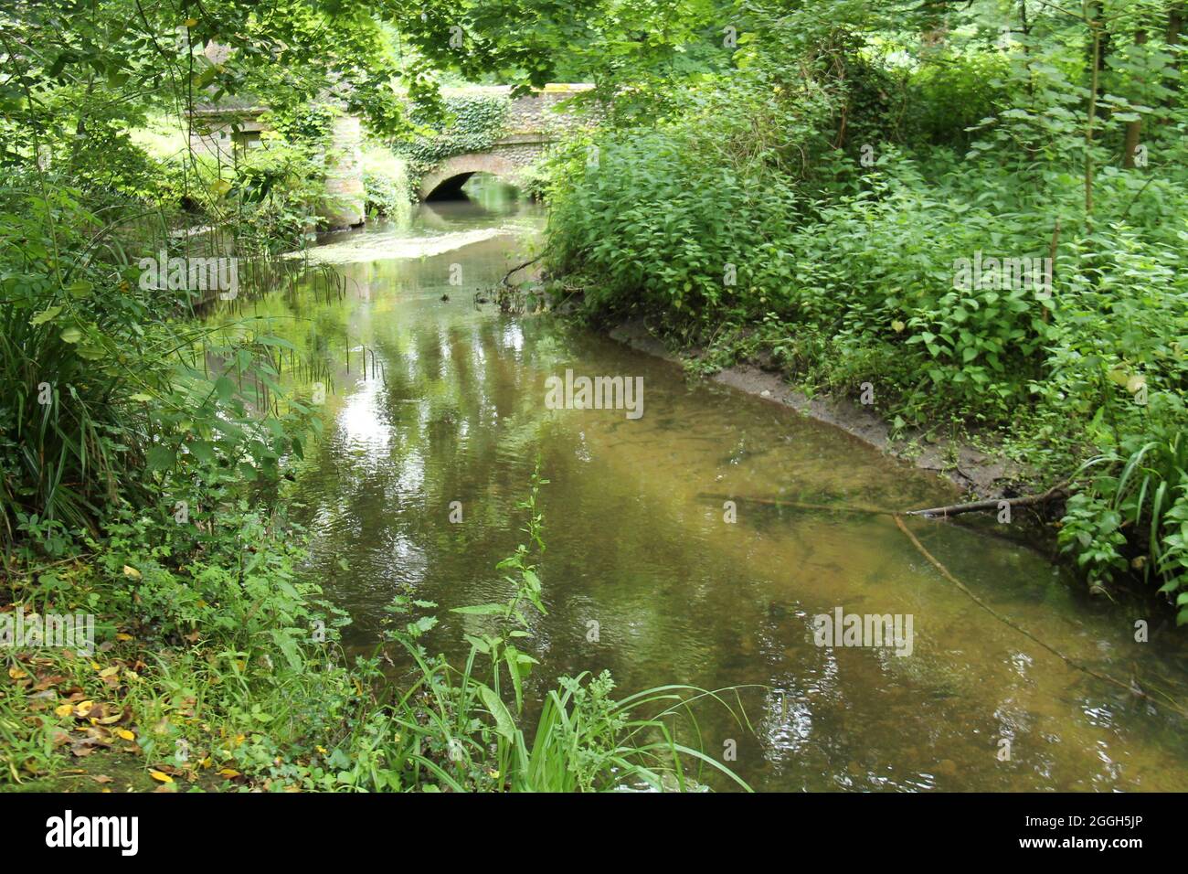 A Flint Stone Bridge Over a Small Woodland River Stock Photo - Alamy