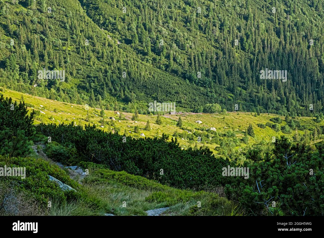 Rackova valley, Western Tatras mountains, Slovak republic. Hiking theme ...