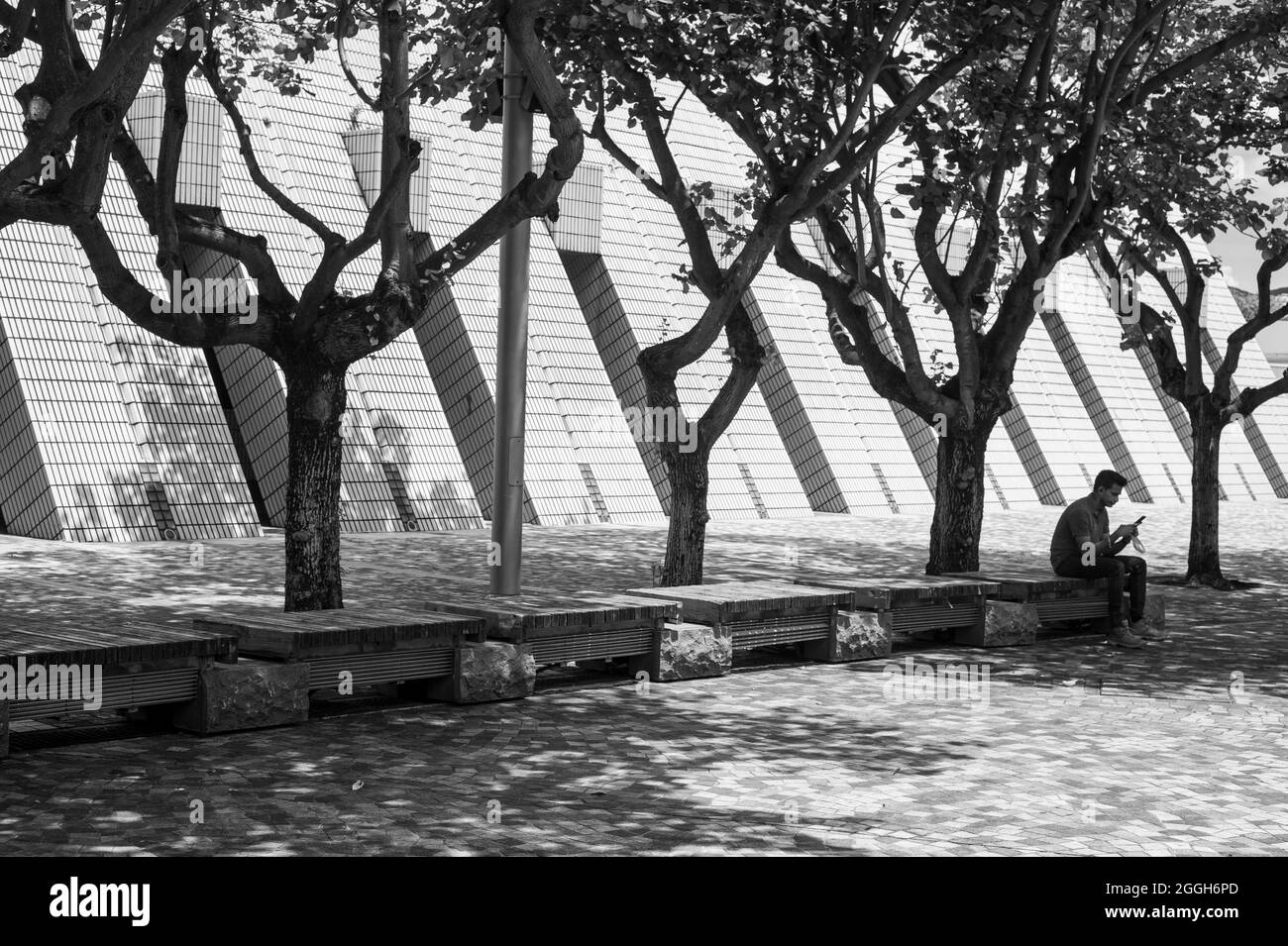 Trees, Humans and Architecture Stock Photo - Alamy