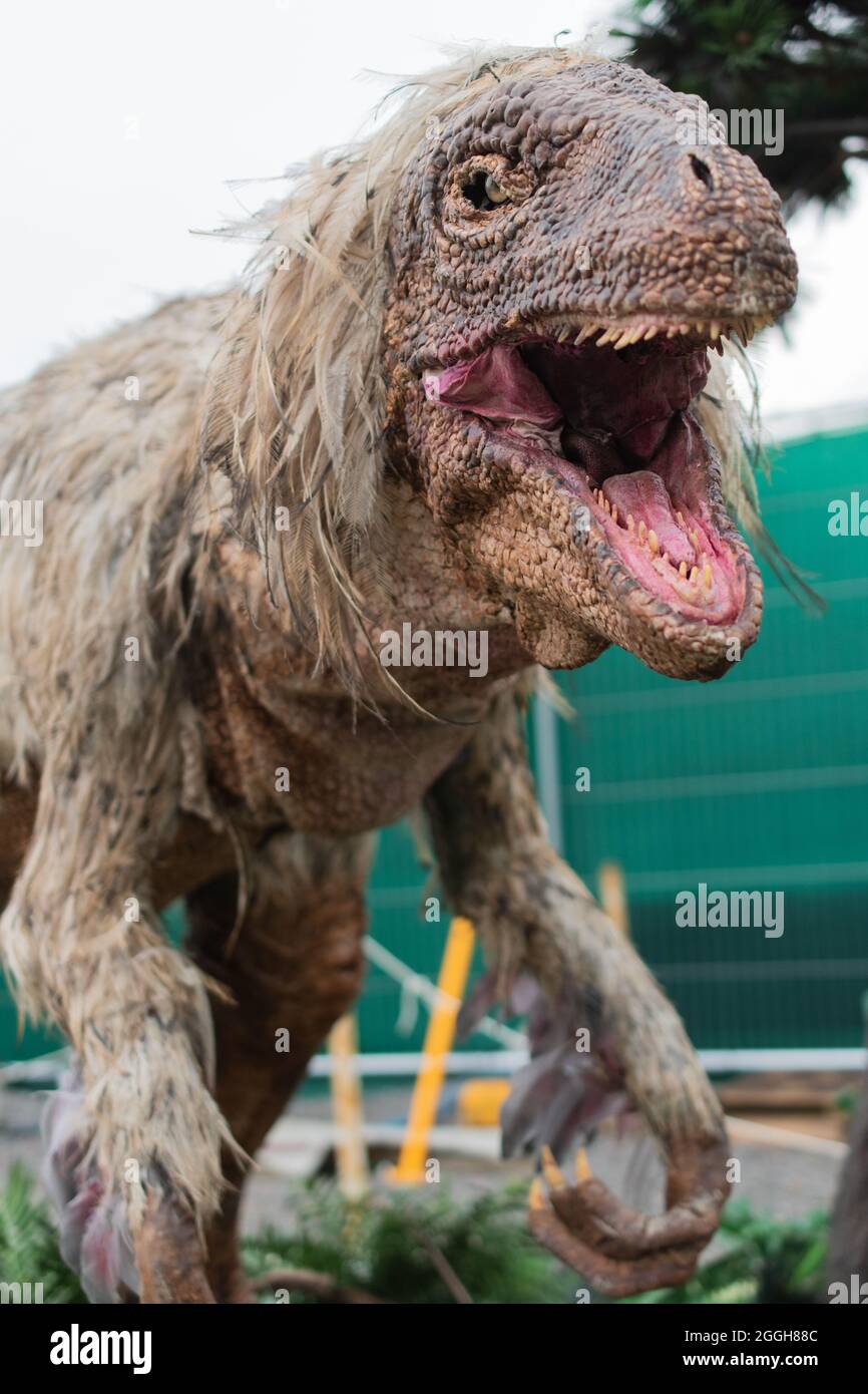 Megalodon museum hi-res stock photography and images - Alamy