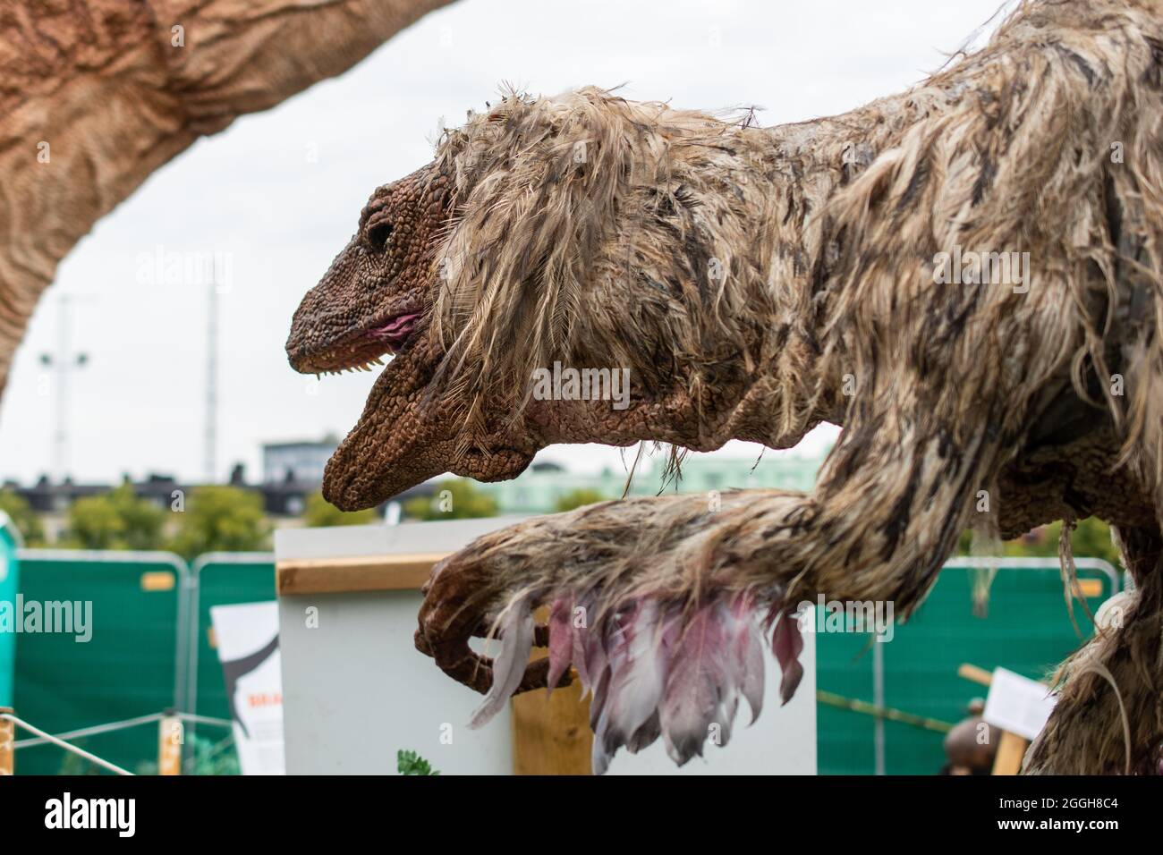 Megalodon museum hi-res stock photography and images - Alamy