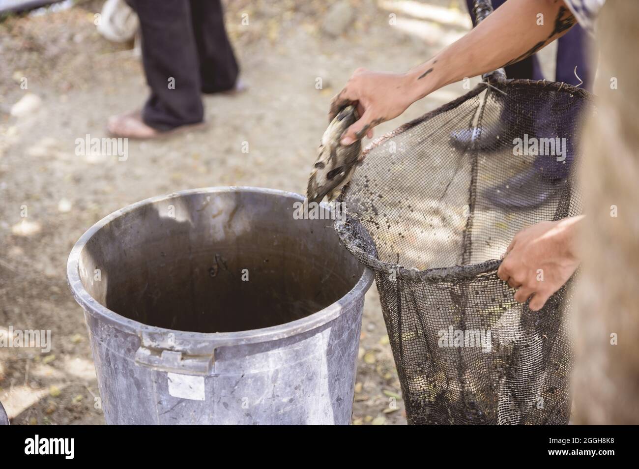 Bacolod city market hi-res stock photography and images - Alamy
