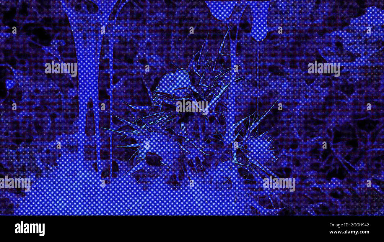 3d illustration-Scary Flower Thorn In A Forest, In The Dark. Horror ...