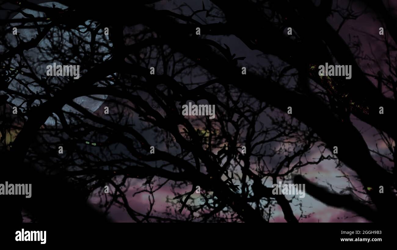 3d illustration -Disturbing Horror Background Stock Photo - Alamy