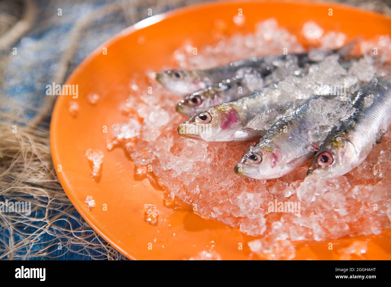 Presentation of fresh anchovies on a bed of ice Stock Photo - Alamy