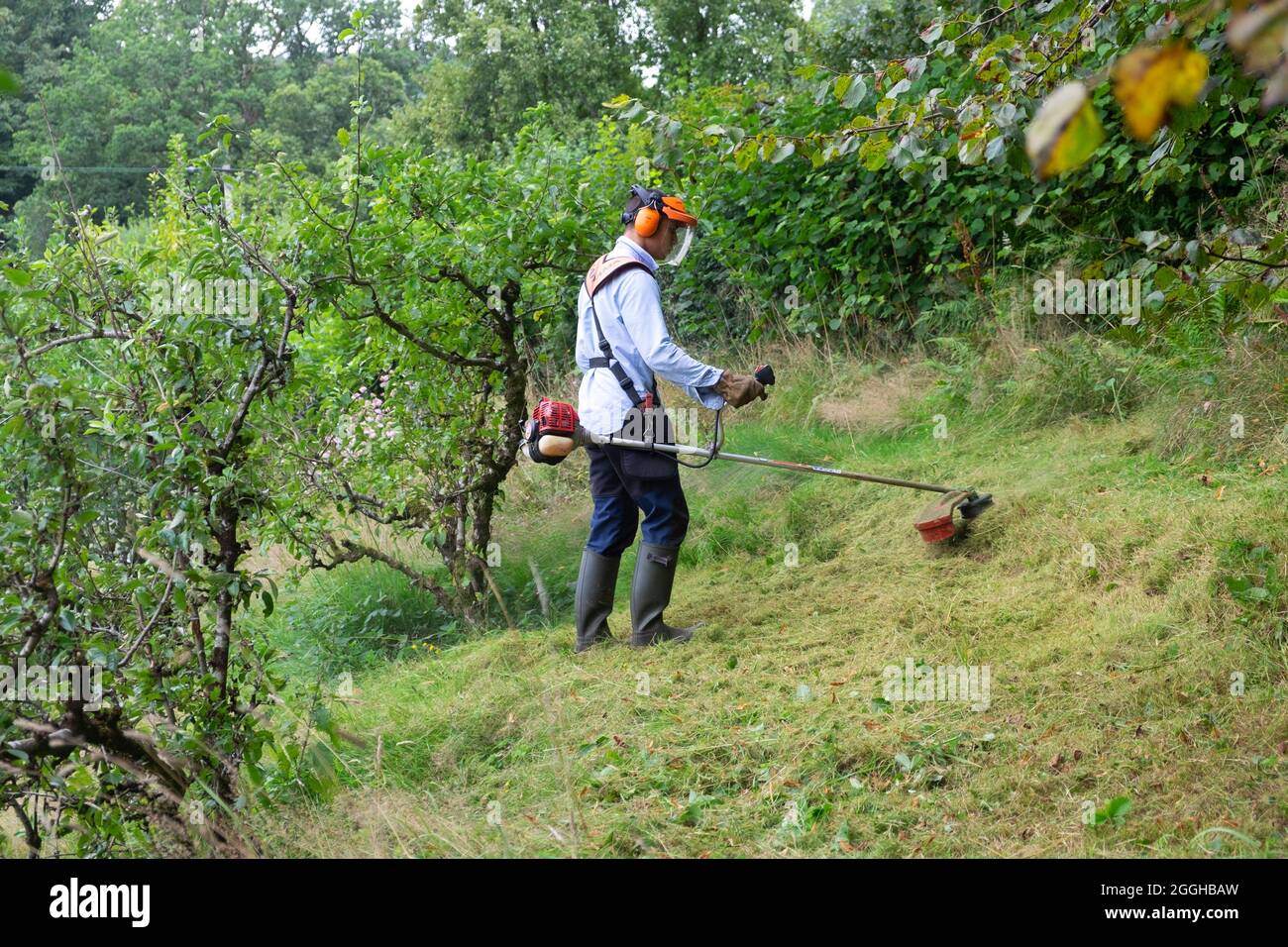 Man wearing mask in garden hi-res stock photography and images - Alamy
