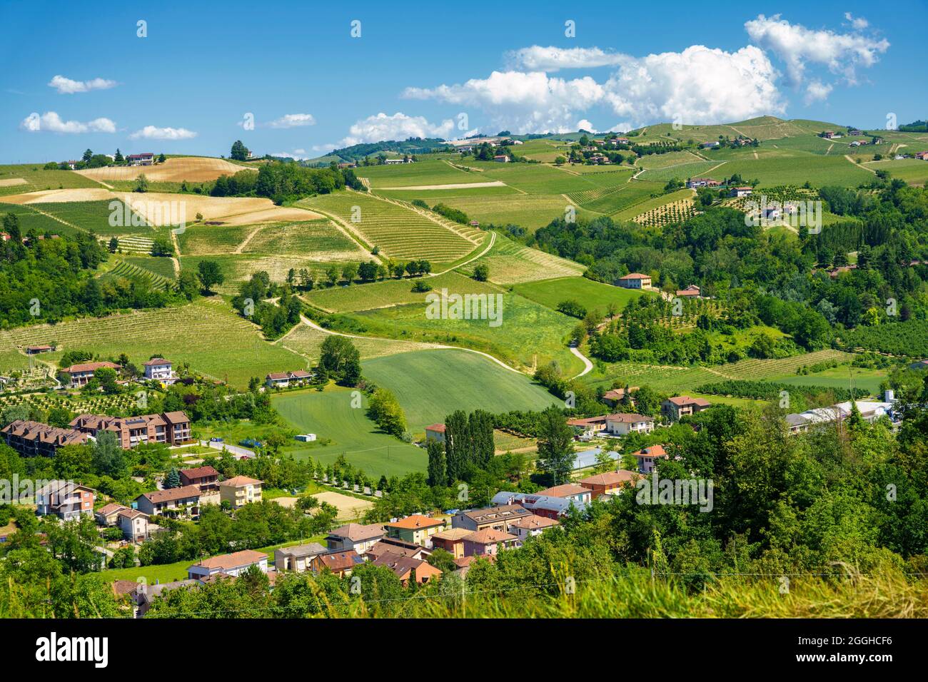 Rural landscape of vineyards at springtime in Langhe near Alba, Cuneo province, Piedmont, Italy ...