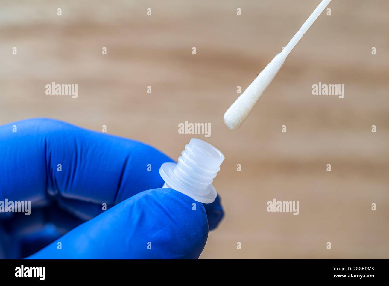 After a nasal swab, the swab is placed in a tube with extraction fluid ...