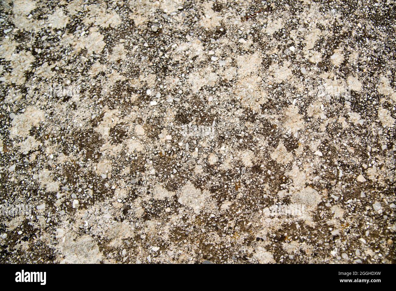 Presentation section of a slab of marble colored Stock Photo - Alamy