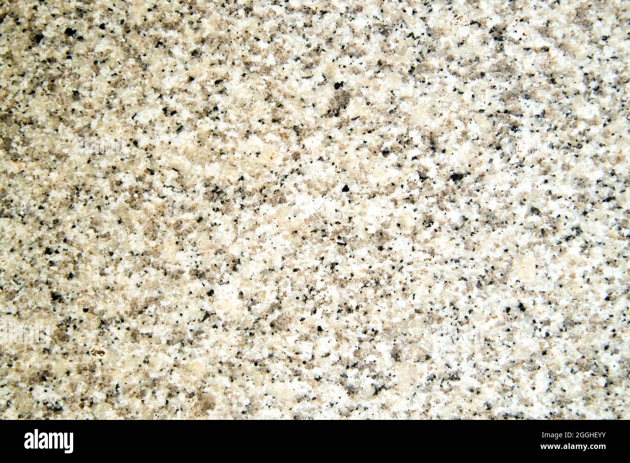 Presentation section of a slab of marble colored Stock Photo - Alamy