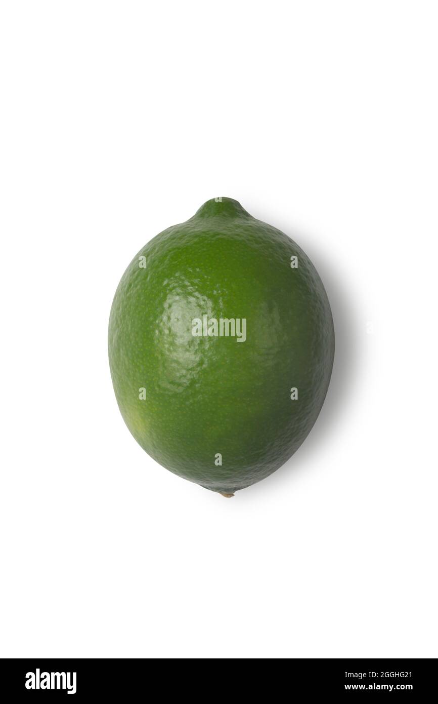 Citrus-fruit lime. Top view on white background with shadow Stock Photo ...