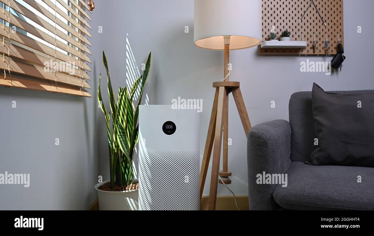 Air purifier in bedroom hi-res stock photography and images - Alamy