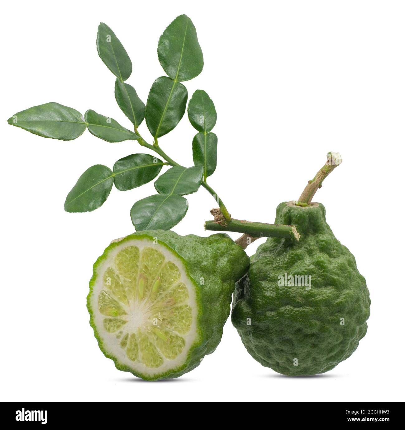 kaffir lime isolated on white background Stock Photo - Alamy