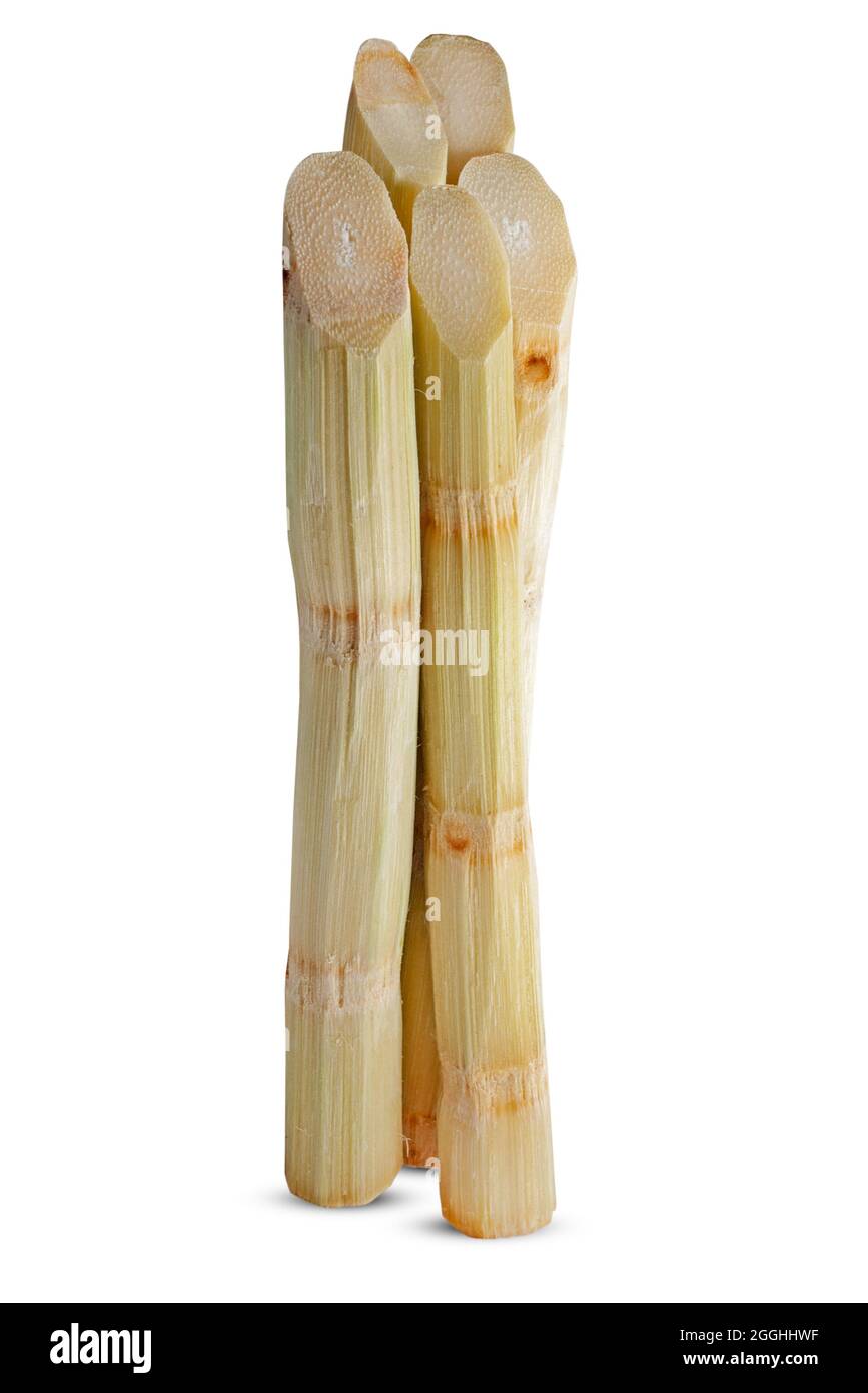 Sugar cane juice and juice Cut Out Stock Images & Pictures - Alamy