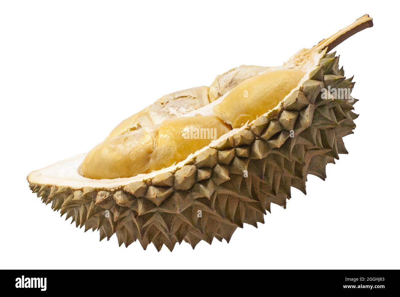 Durian fruit isolated on white background Stock Photo - Alamy