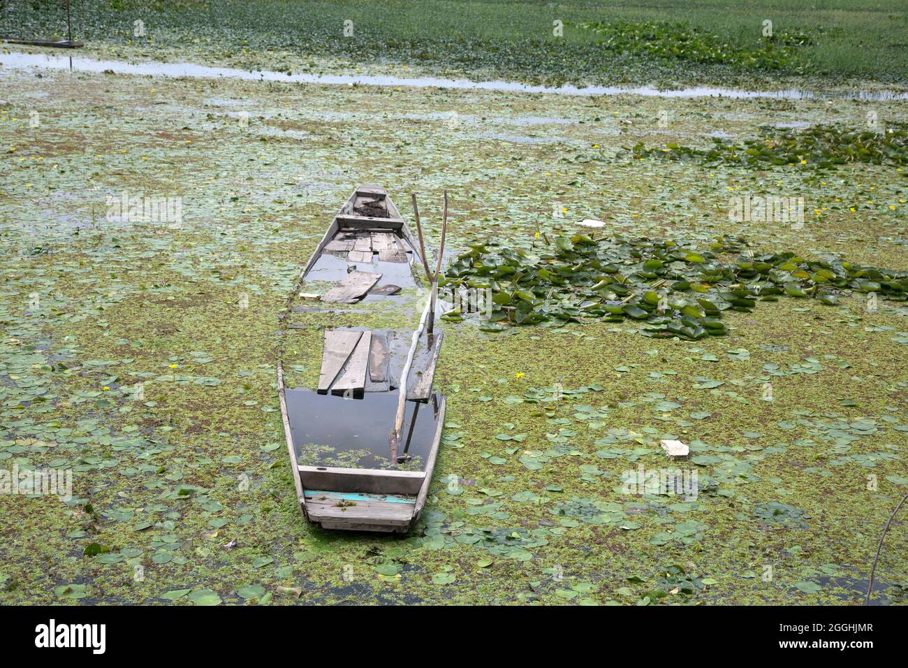 Wood boats india hi-res stock photography and images - Alamy