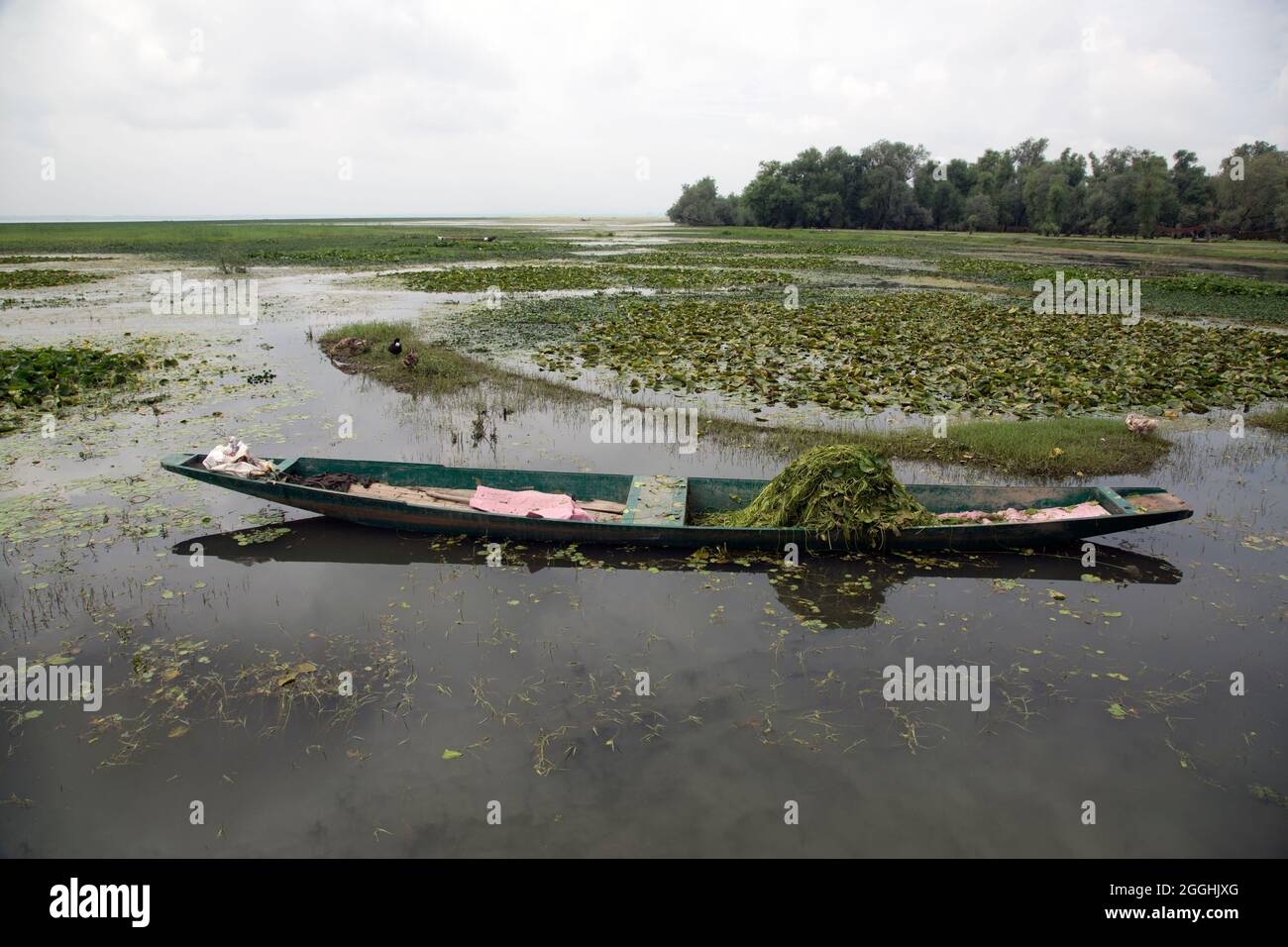 Wular Lake, Kashmir Stock Photo - Alamy