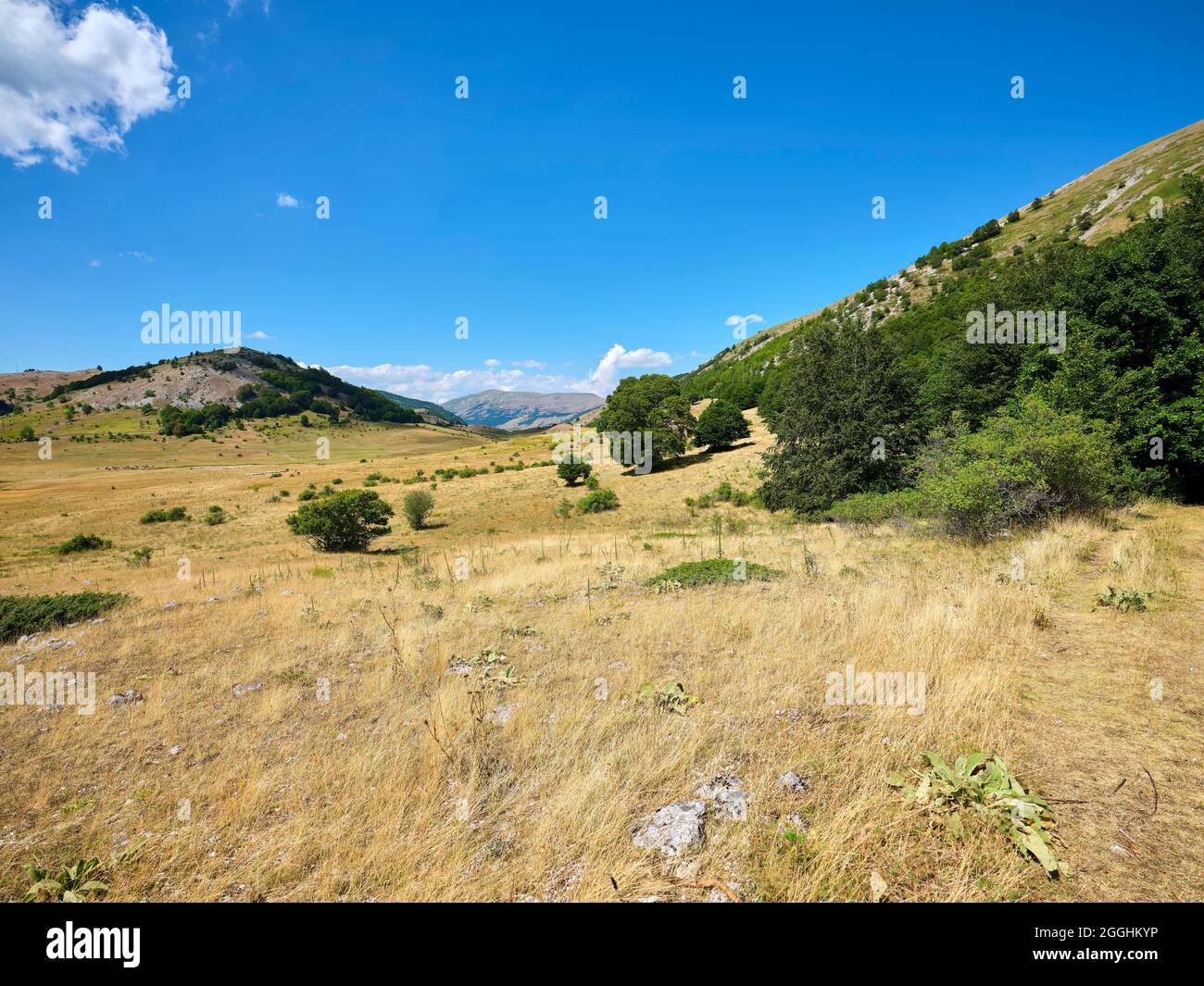 Passo Godi in the Abruzzese Apennines. Pastures and woods in the valley ...
