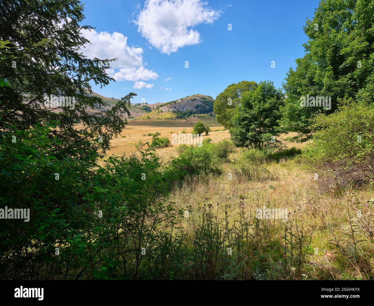 Passo Godi in the Abruzzese Apennines. Pastures and woods in the valley ...