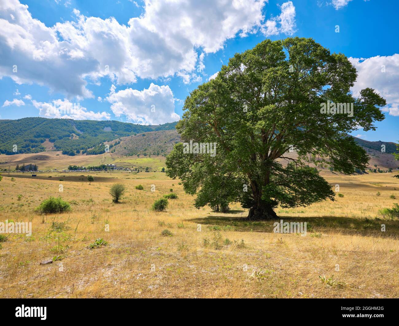 Passo Godi in the Abruzzese Apennines. Pastures and woods in the valley ...