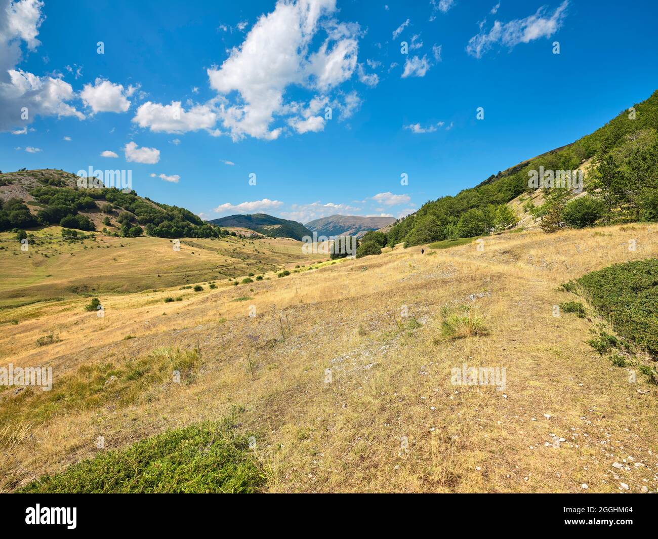 Passo Godi in the Abruzzese Apennines. Pastures and woods in the valley ...