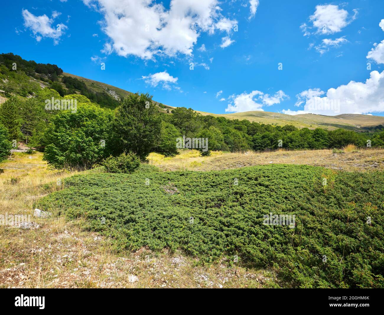 Passo Godi in the Abruzzese Apennines. Pastures and woods in the valley ...