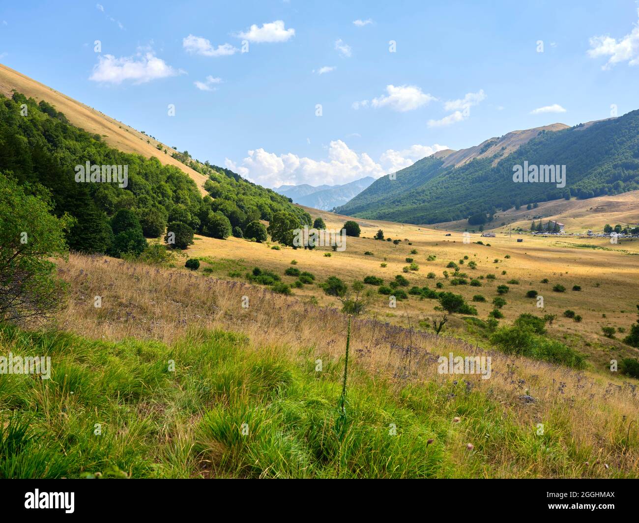 Passo Godi in the Abruzzese Apennines. Pastures and woods in the valley ...