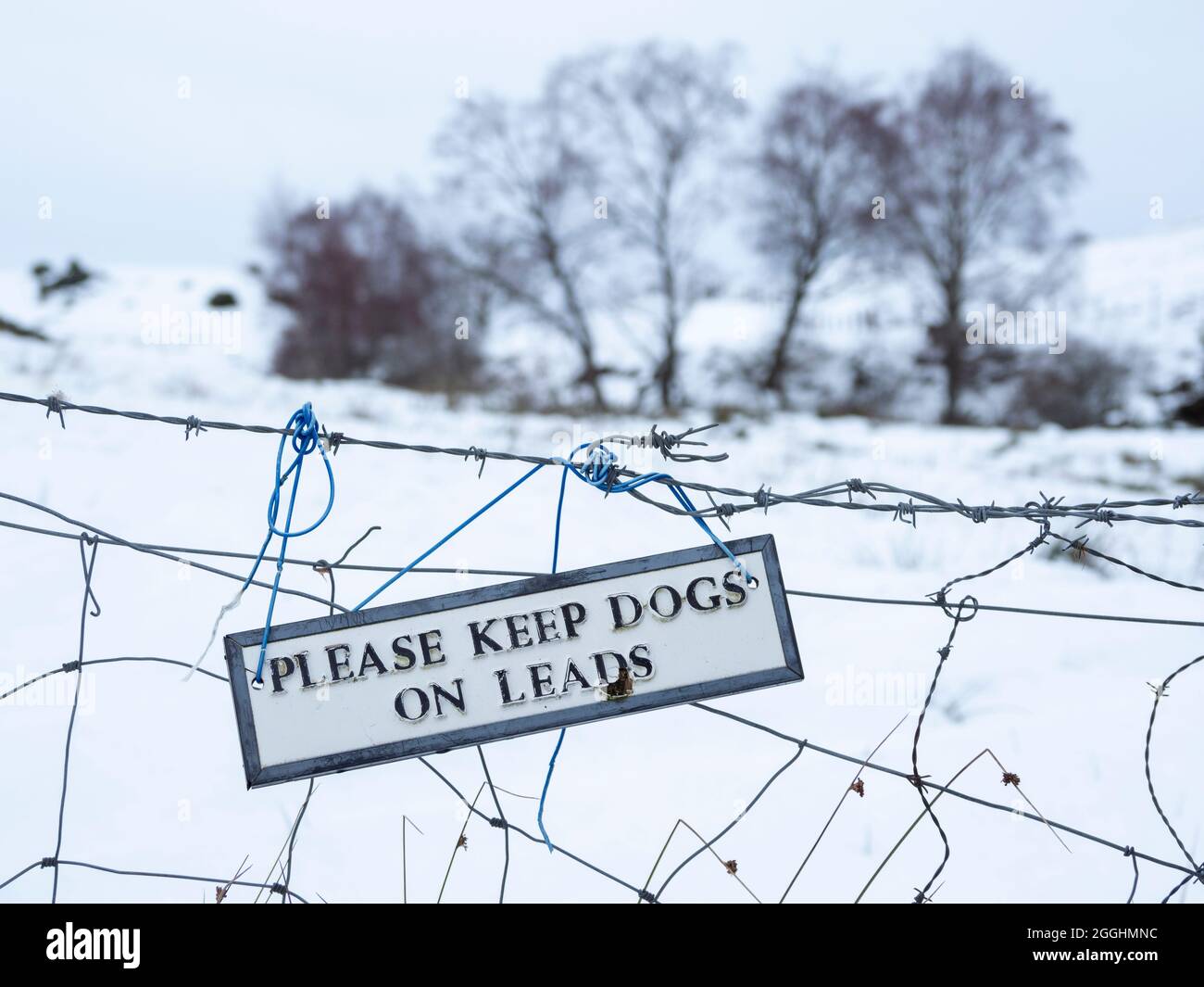 "Please Keep Dogs on Leads". Sign attached to stock fence, Highland ...