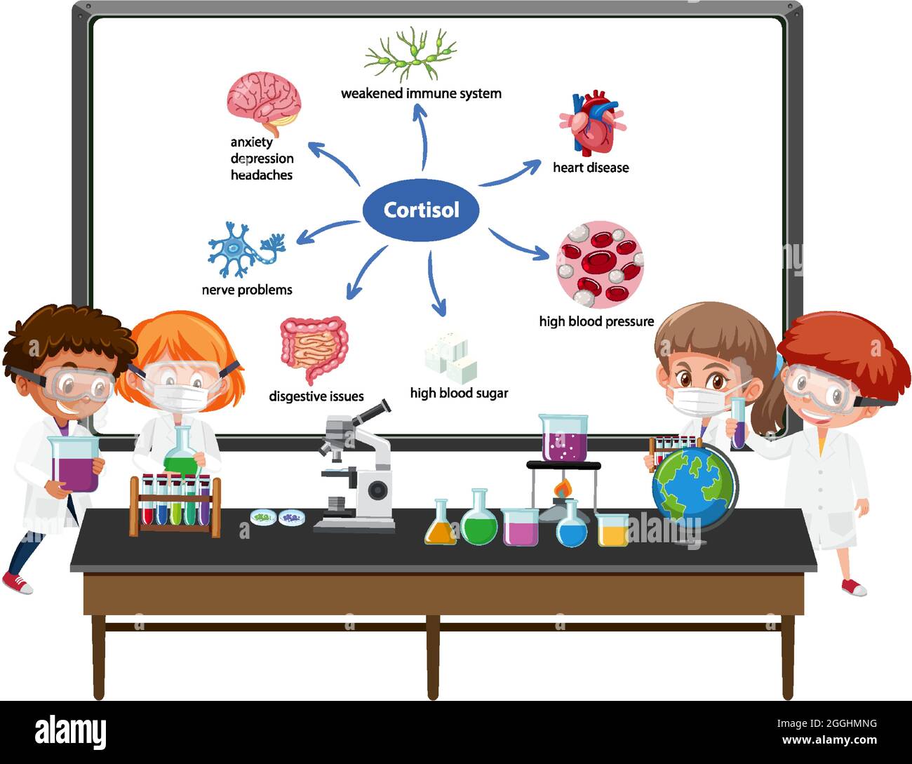 Young doctor explaining cortisol steroid hormone illustration Stock ...