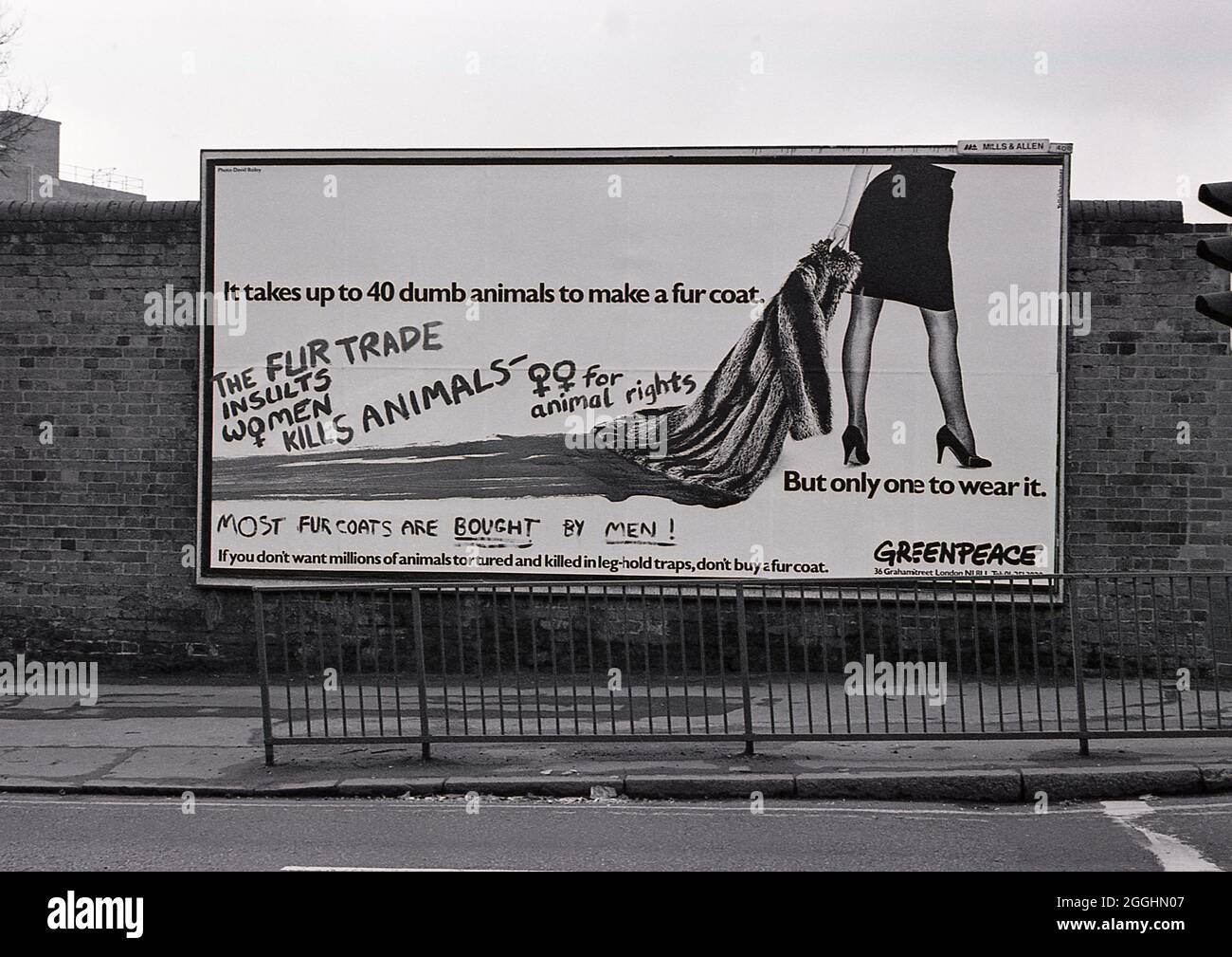 Animal rights graffiti hi-res stock photography and images - Alamy