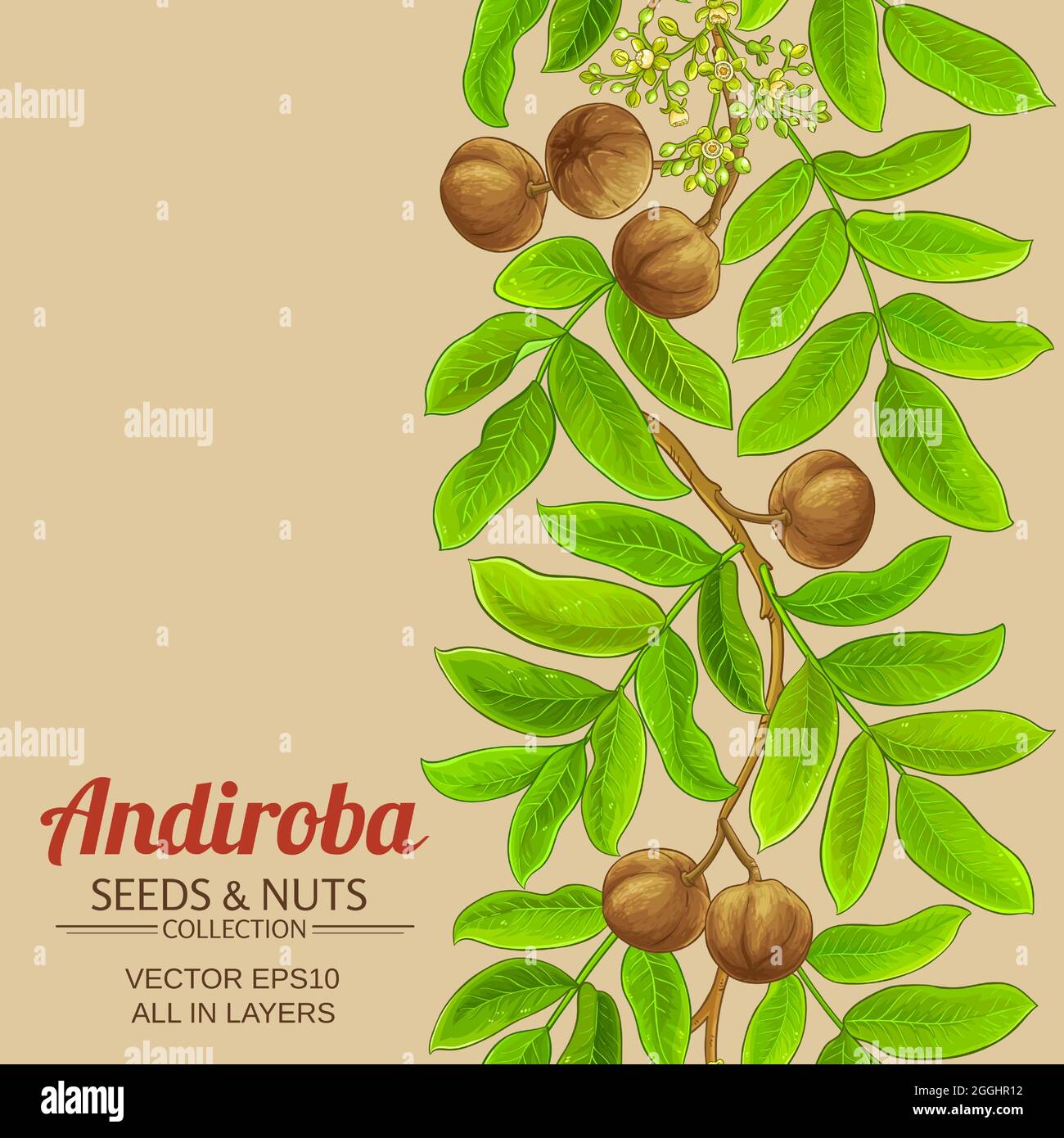 andiroba vector pattern on color background Stock Vector Image & Art ...
