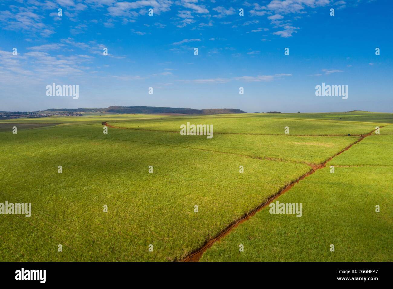 aerial view of cane field with blue sky and clouds Stock Photo - Alamy