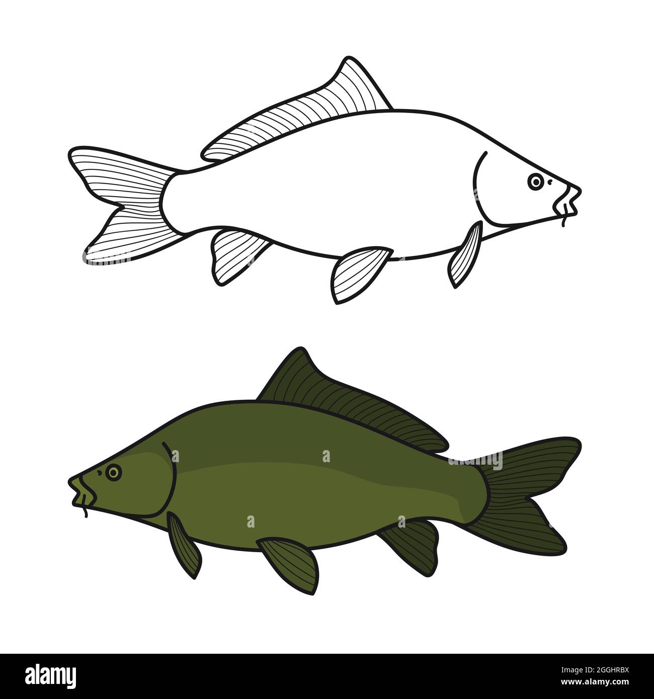 Outline and colored carp - vector illustration Stock Vector Image & Art ...