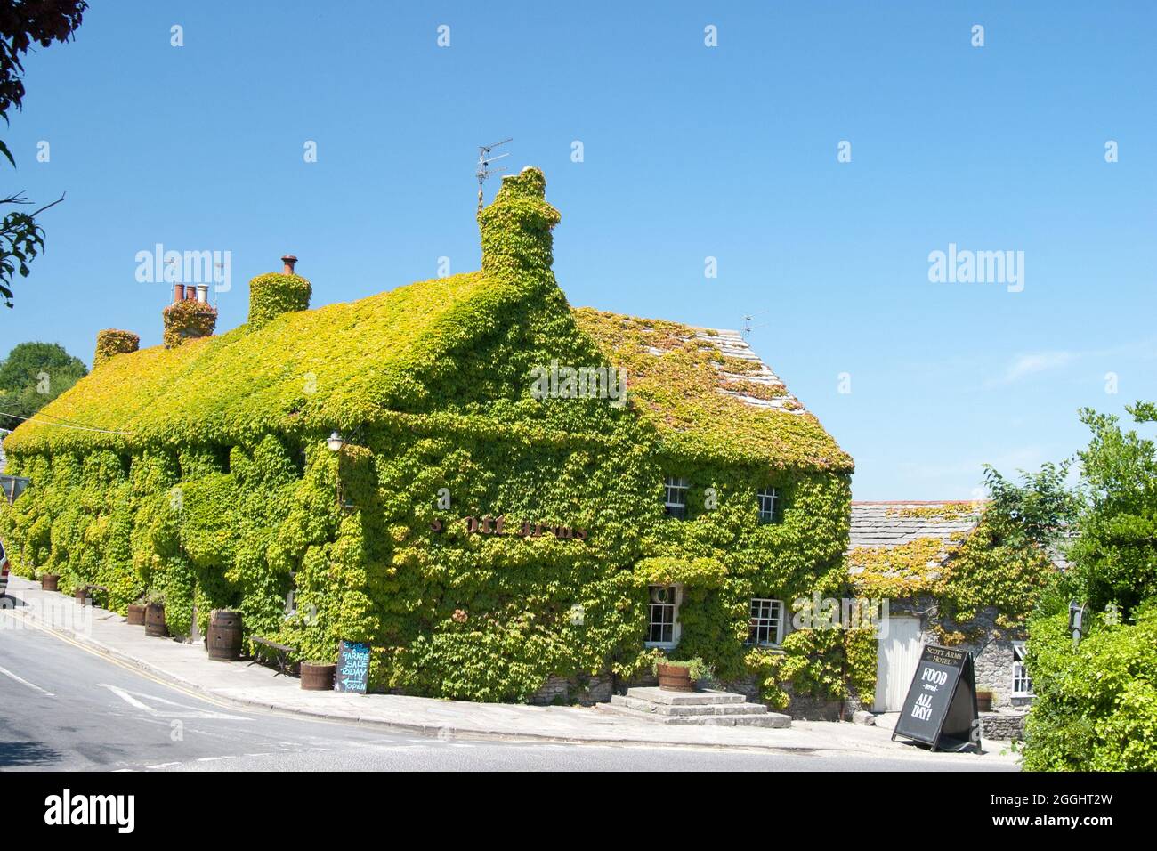 The Scott Arms pub in Kingston in the Purbeck overgrown Virginia ...